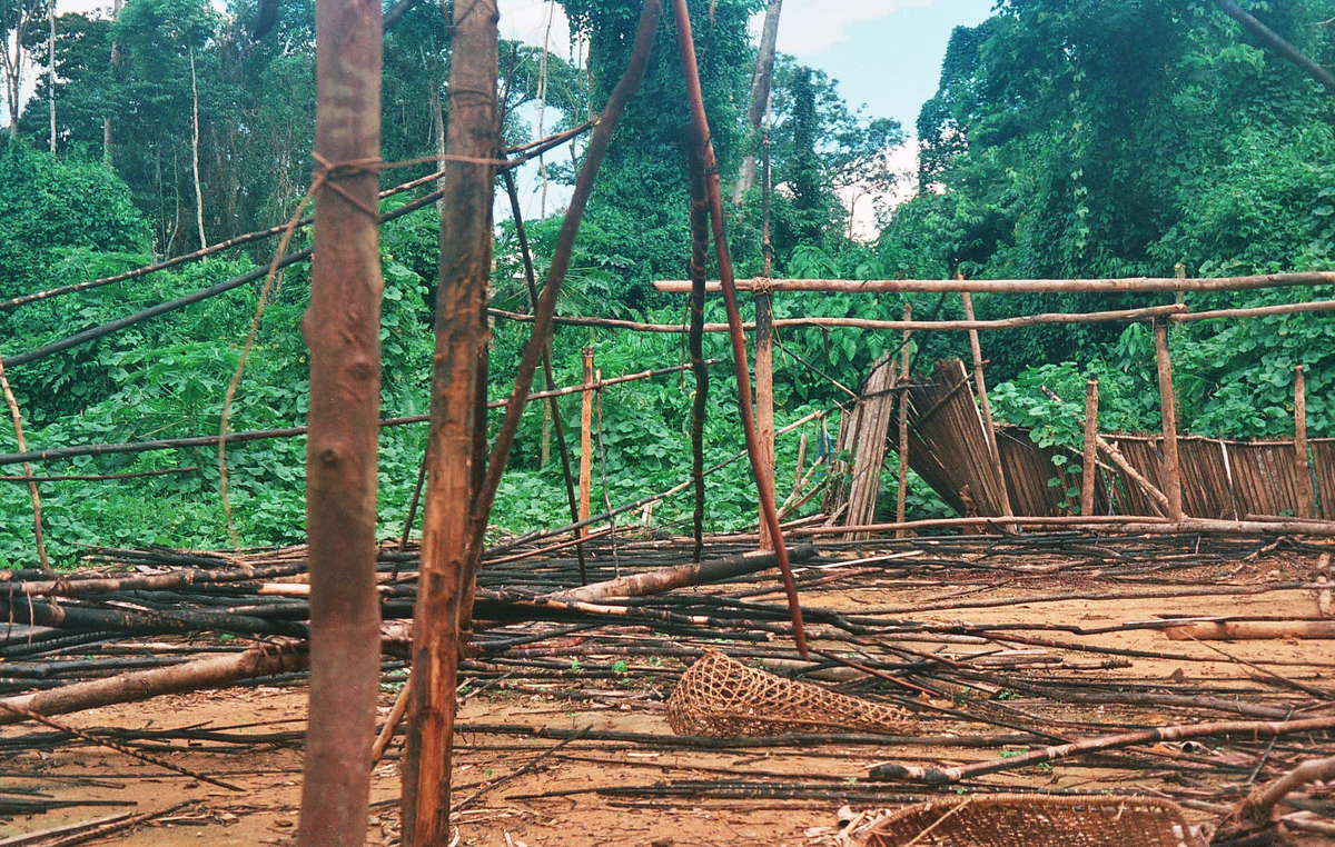 Tras 30 años de la Masacre de Haximú persiste la invasión de mineros en ...